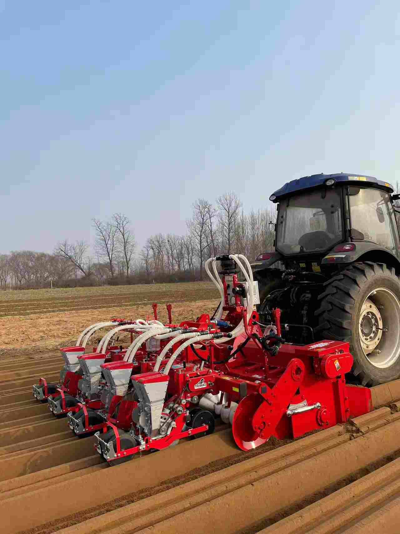 Precision Carrot Sowing Machine: Uniform Germination Guaranteed - Onion ...